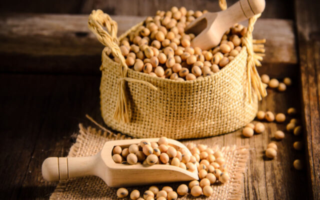 How to Make Soya Beans Powder: A Complete Guide - HealthySat