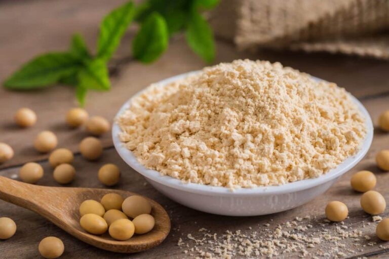 How to Make Soya Beans Powder: A Complete Guide - HealthySat