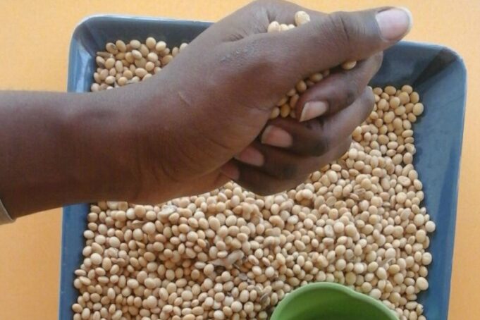 How to Make Soya Beans Powder: A Complete Guide - HealthySat